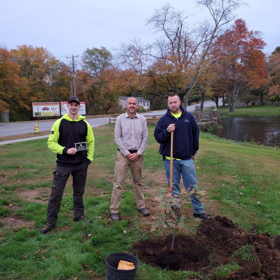 North Windham Tree Service - (860) 234-4041- Green Valley Tree LLC
